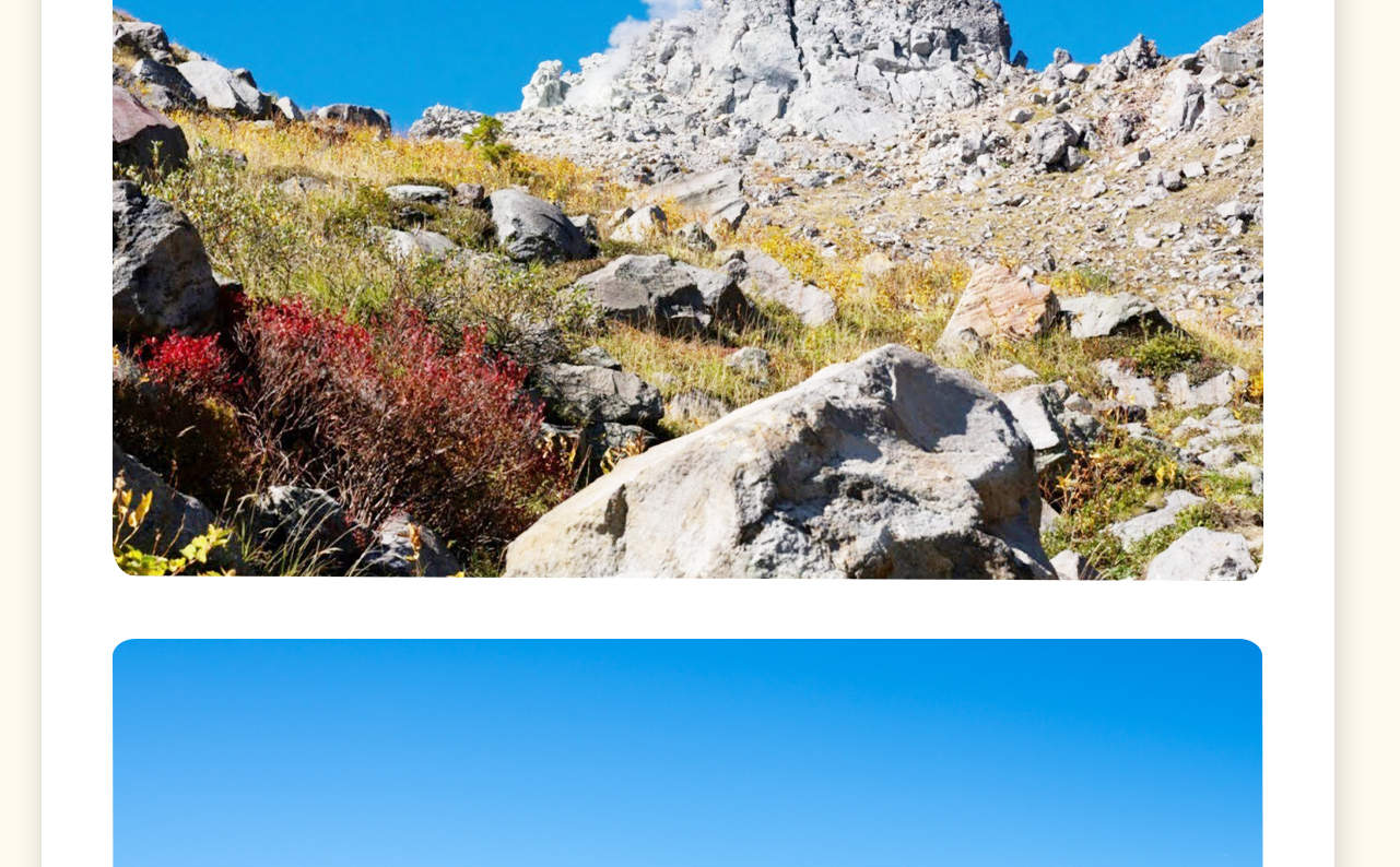 [Nagoya Kamikochi Hiking Tour] One-Day Nature Forest Hiking Tour of ...